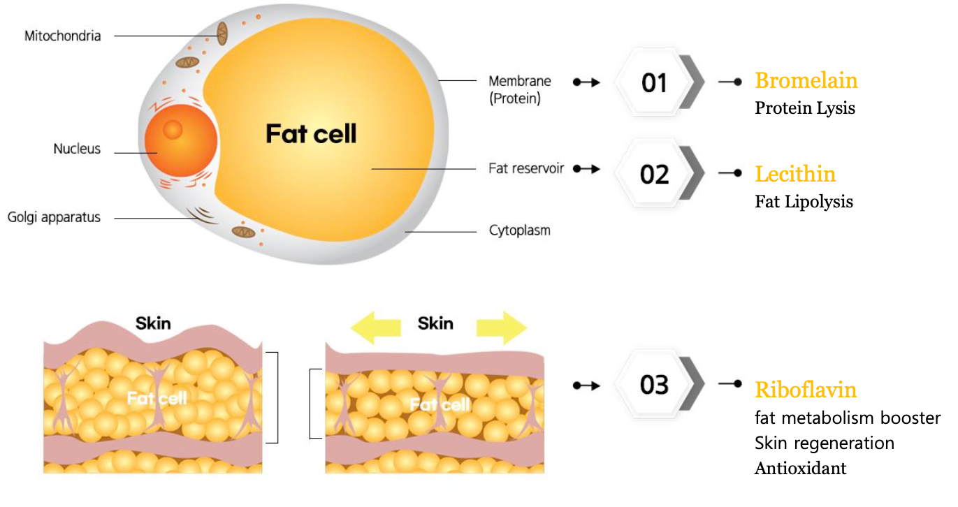 Lemon Bottle Fat Dissolving | Radiant Facial Rejuvenation
